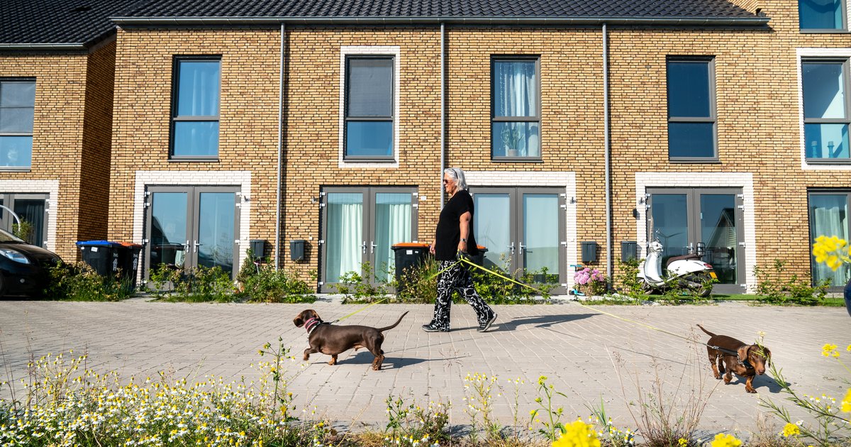 Assortiment | Heijmans Horizon