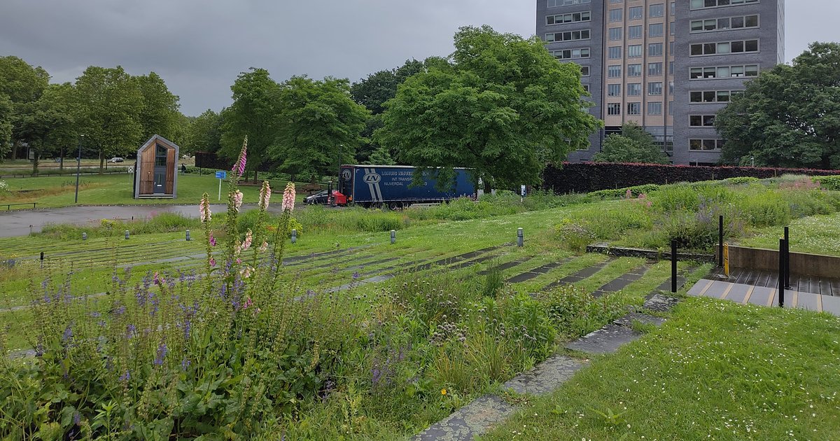 Bodem: Meer dan Grond Alleen - Innovatieve Infra-oplossingen - Heijmans